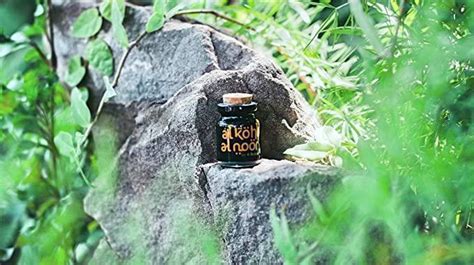 كحل النور كحل إثمد Book Fanar