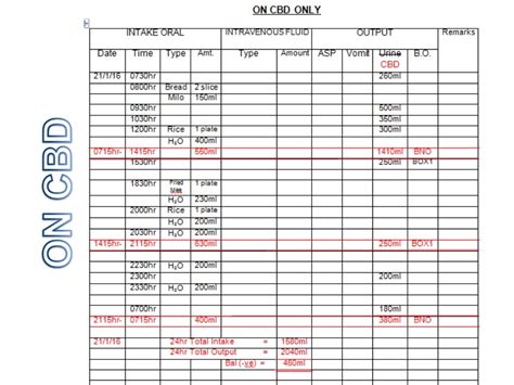 Intake And Output Chart Example