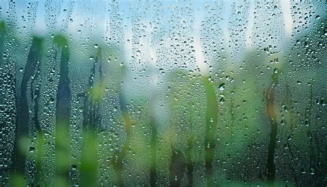Raindrops On A Window Background Raindrops Window Rain Background