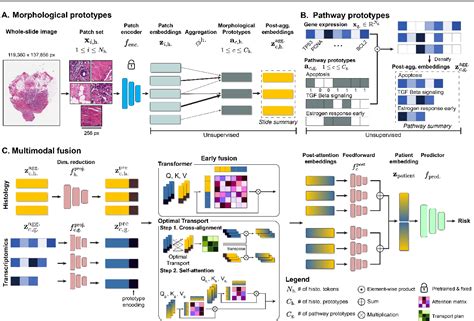 Figure 1 From Multimodal Prototyping For Cancer Survival Prediction