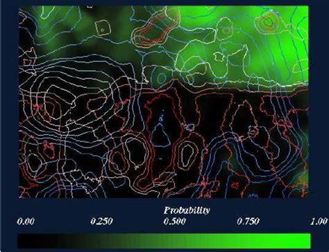 Projection Of A Model Using Self Organizing Maps Green Saturation Download Scientific Diagram