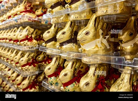 Many Chocolate Easter Bunnies Chocolate Bunnies Lindt Gold Bunnies Pallet In Supermarket