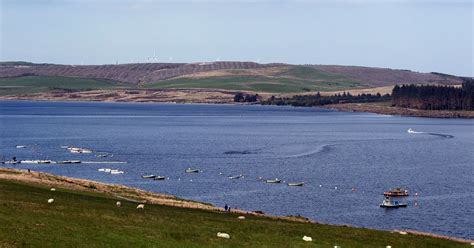 Dwr Cymru Has Say On Drought Fears Following Very Dry February North Wales Live