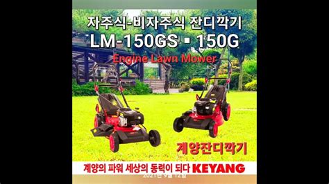 잔디깍이 자주식 비자주식 잔디 잔디깍기 벌초 예초기 제초작업 정원 Keyang 전원주택 Brushcutter Lawnmower 벌초대행