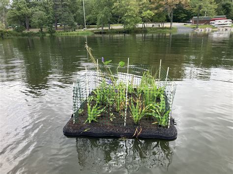 Floating Treatment Wetlands Installation — Crandon Lakes