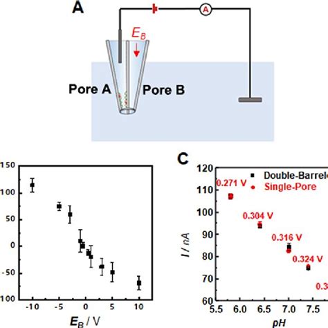 A Schematic Illustration Of Circuits Of Two Pores Pore A And Pore B Download Scientific