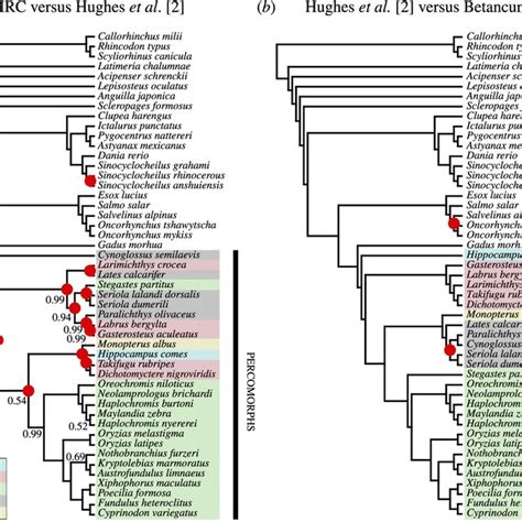 Time Calibrated Bayesian Phylogeny Of Actinopterygii Using A Download Scientific Diagram