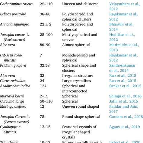 Average Particle Size Shape And Surface Morphology Of Tio 2 Nps Download Scientific Diagram