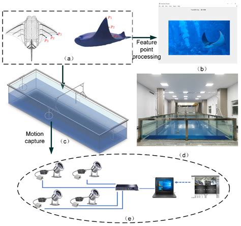Jmse Free Full Text Similarity Evaluation Rule And Motion Posture Optimization For A Manta