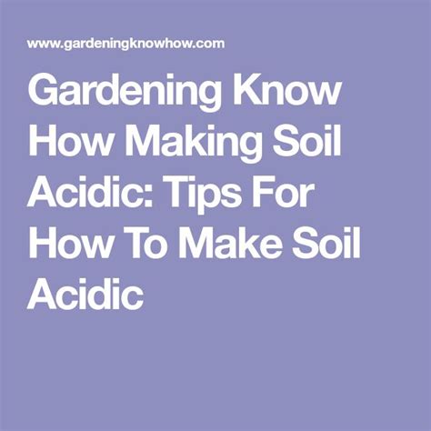 How To Make Soil More Acidic Best Ways To Acidify Soil Soil Organic Gardening Edible Garden