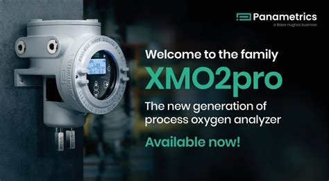 Panametrics New Generation Process Oxygen Analyzer Shannon Industrial Estate Shannon Co