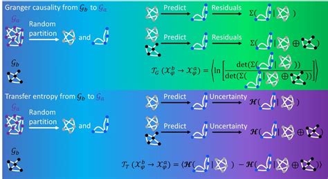 Conceptual Illustrations Of Granger Causality And Transfer Entropy Download Scientific Diagram