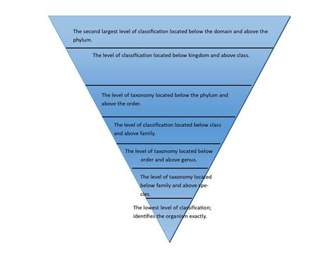 Classifying Organisms Diagram Quizlet