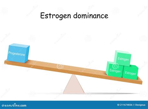 Estrogen And Progesterone Lever Stock Vector Illustration Of Health
