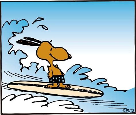 72 Best Cute Hawaii Images On Pinterest Charlie Brown Peanuts Snoopy