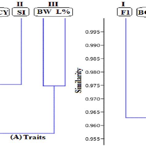 tree diagram constructed using upgma hierarchical clustering with
