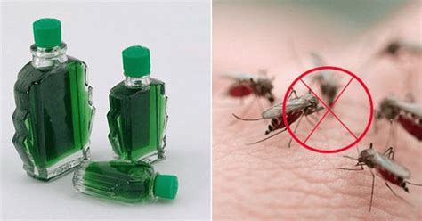 11 Công Dụng Của Dầu Gió Khiến Bạn Phải Bất Ngờ Vạn Điều Hay