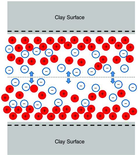 A Simplified Sketch Of The Electrical Double Layer Edl Associated
