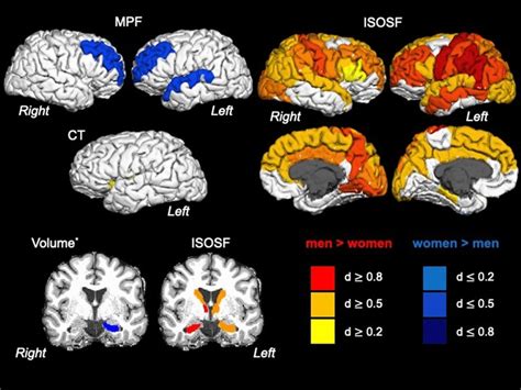 Displays The Effects Of Sex On Cortical Thickness CT Subcortical Download Scientific Diagram