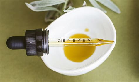 The Cbd Extraction Process Cbdfx Uk
