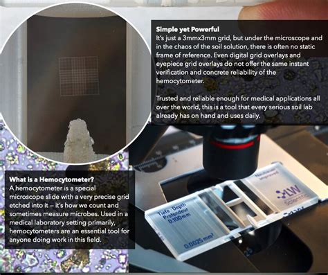 A Hemocytometer Is A Simple But Powerful Tool Its A Precise Microscopic Grid That Allows For