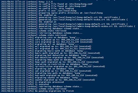 kong migrations up issue related to ratelimiting metrics data · issue