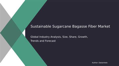 Sustainable Sugarcane Bagasse Fiber Market Research Report 2033