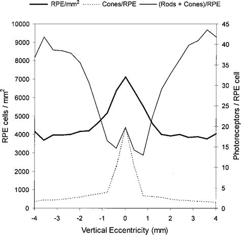 Relationship Of Rpe Cells To Photoreceptor Cells In Rhesus Retinas Download Scientific Diagram