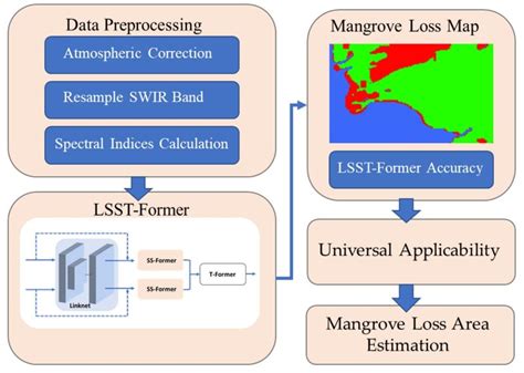 Mangrove Detection Dataset Remote Sensing Mdpi