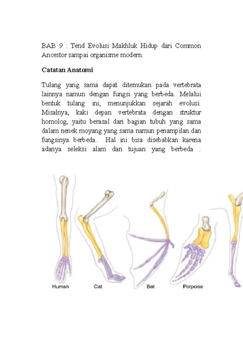 Evolusi Makhluk Hidup Dari Common Ancestor Sampai Organisme Modern