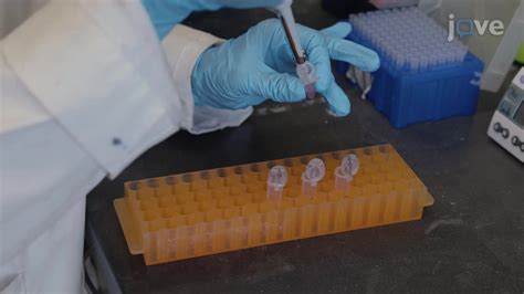 Video A Degranulation Assay To Monitor Neutrophil Activation And