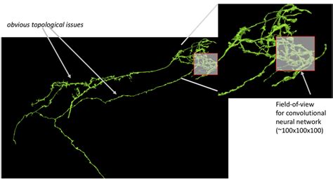 Segmentation Algorithms Perform Well In A Small Local Context As They Download Scientific