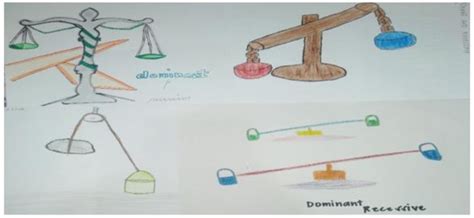 Dominant Recessive Traits Analyzed Using The Concept Of Application Download Scientific Diagram