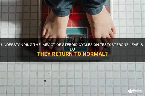 Understanding The Impact Of Steroid Cycles On Testosterone Levels Do They Return To Normal