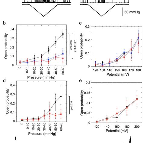 Ca 2 Permeation Through Mca1 And Mca2 Reconstituted Into Liposomes
