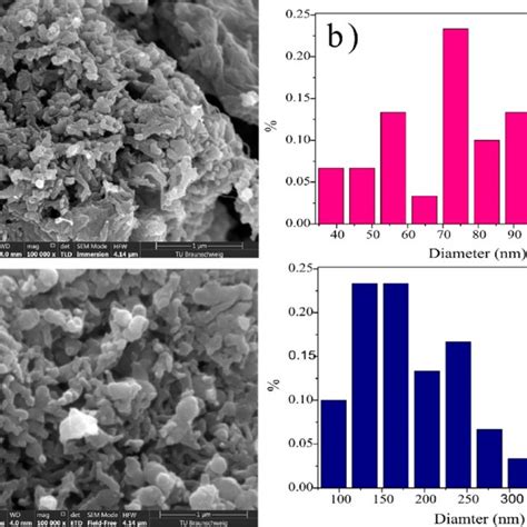 a sem image and b particle size distribution histogram of