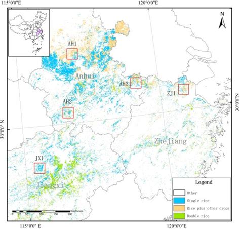 Paddy Rice Distribution Of Five Sample Areas Marked With Red In The Download Scientific