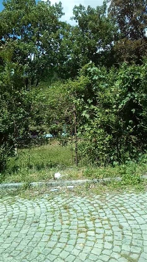 БАЗЕН У ЉИГУ 2020 ГОДИНЕ БАЗЕН У БИВШОЈ БАЊИ ЉИГ Ево како нам је