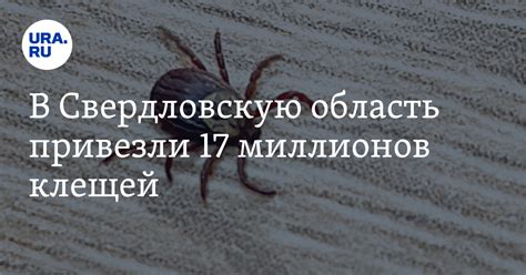 В Свердловскую область привезли 17 миллионов клещей подробности