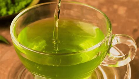 Polyphenols And Digestive Health Easing Common Issues Thegoodbug