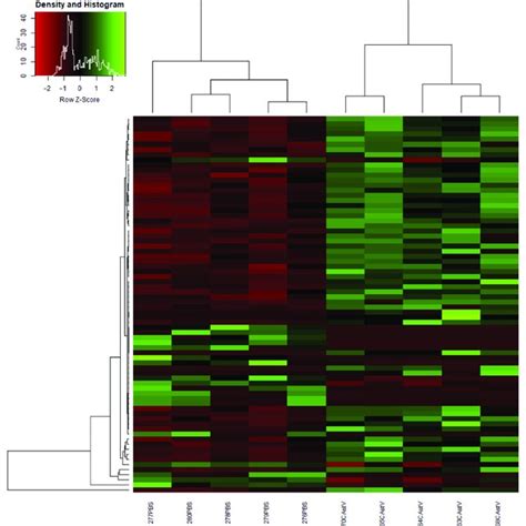 Heat Map Analysis Used To Classify Gene Expression Patterns Under