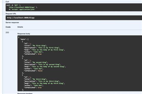 How To Build And Document A Go Rest Api With Gin And Go Swagger Dev