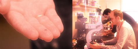 Randd Stories How Optical Technology Enables A Generational Shift In Mems Microphone Performance