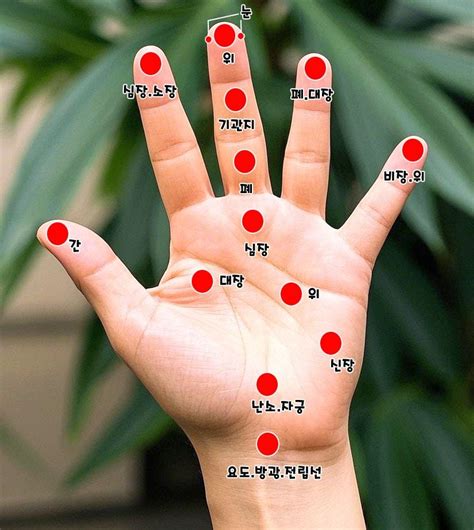 손바닥 지압점과 혈자리 위치 및 효과 총정리 네이버 블로그