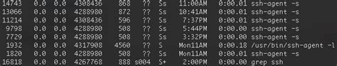 Linux Kill All Processes By Command Stack Overflow