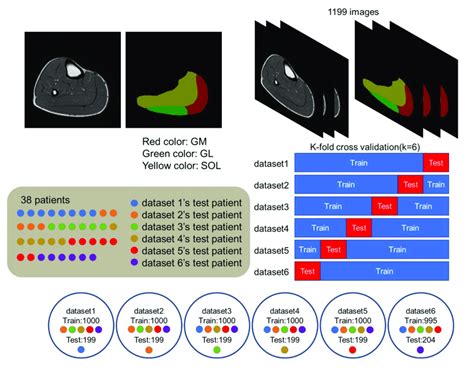 Six Divided Datasets And 6 Fold Cross Validation Download Scientific