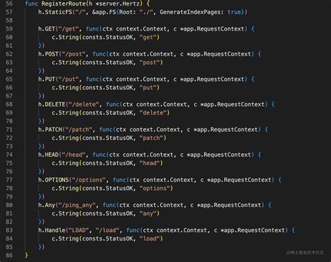 go web框架——hertz基础教程｜ 青训营笔记 掘金
