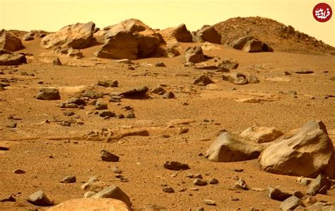 تازه‌ترین خطای دید فضایی؛ مشاهدۀ سر بریدۀ انسان روی مریخ عکس