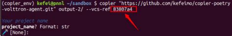 resolve copier command using specified non default branch · issue 15
