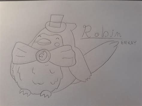 Robin R Emkay
